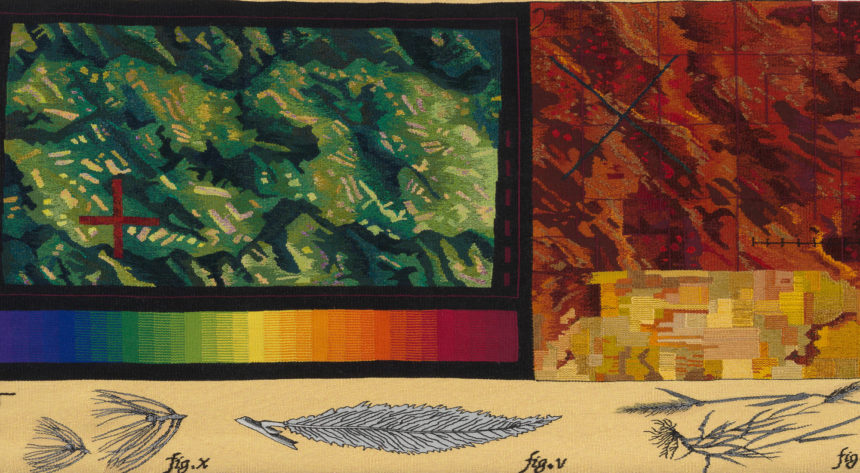 Jane Kidd: Curious – MSVU Art Gallery