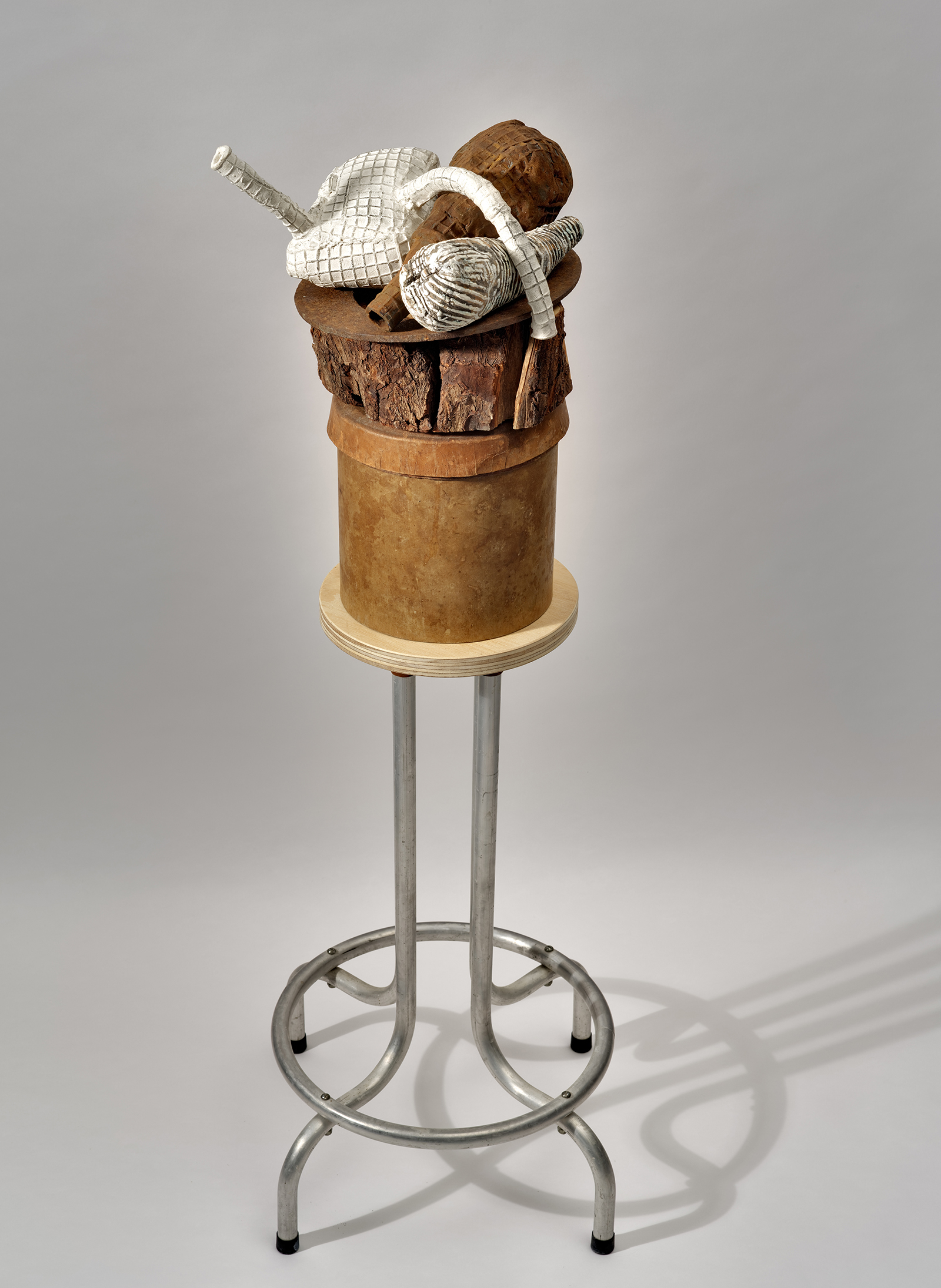 Susan Low-Beer: Specimen – MSVU Art Gallery